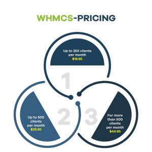 What is WHMCS and What is WHMCS used for? Beginners Guide!